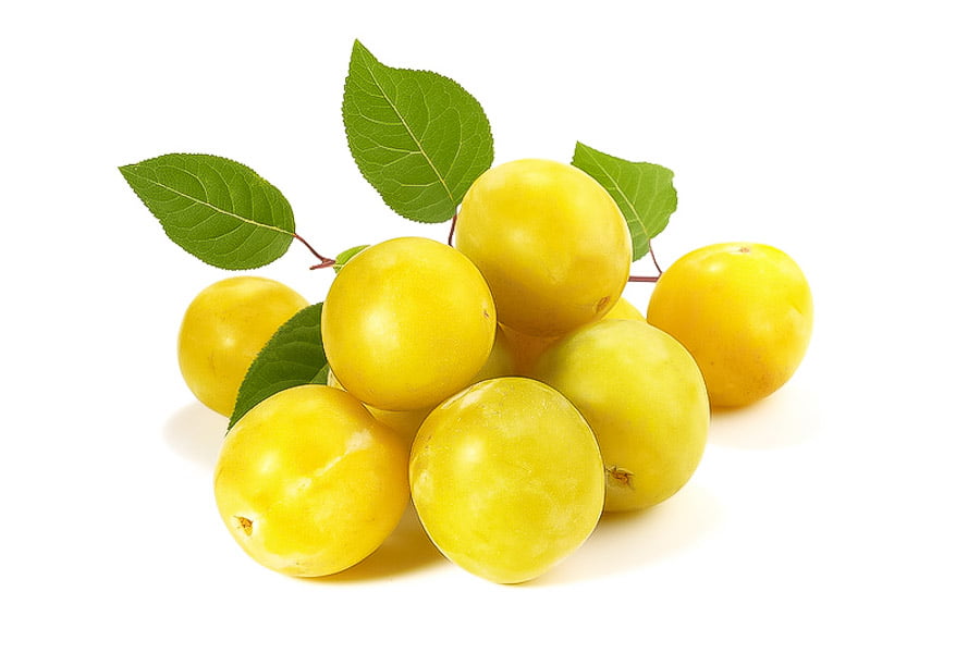 Mirabellen | Obstbau Steegmaier in Ludwigsburg